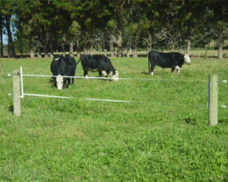 Taragate Electric Gate Systems — American GrazingLands Services LLC